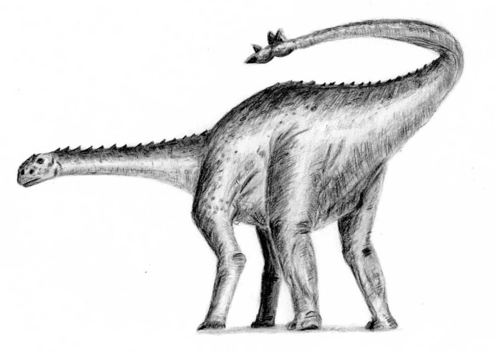 Shunosaurus | Dinosaurier Wiki | Fandom