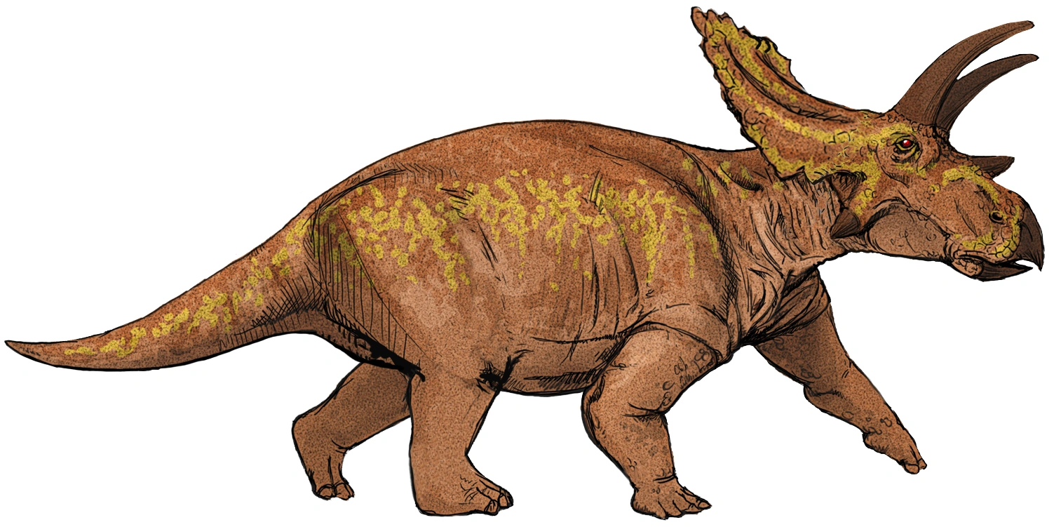 Anchiceratops | Dinosaurier Wiki | Fandom