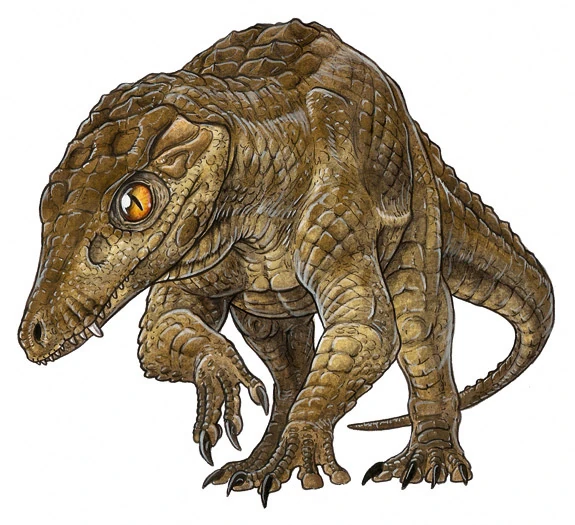 Araripesuchus | Dinosaurier Wiki | FANDOM powered by Wikia