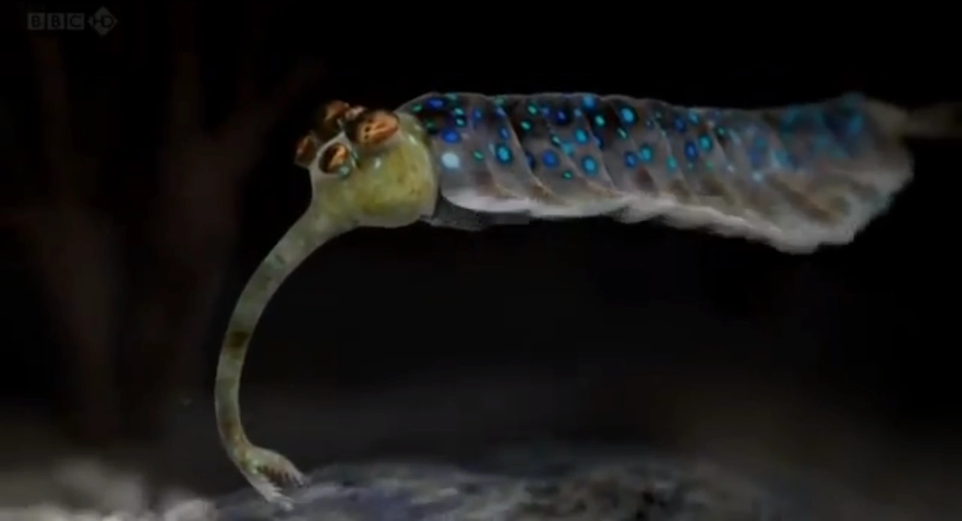 Opabinia | Dinosaur Alive Wiki | FANDOM powered by Wikia