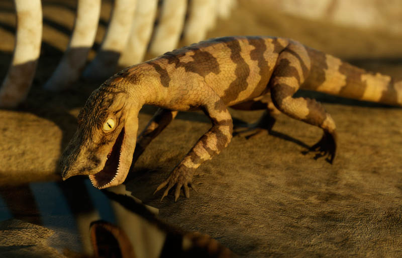 Anatosuchus Dinosaur Alive Wiki Fandom Powered By Wikia