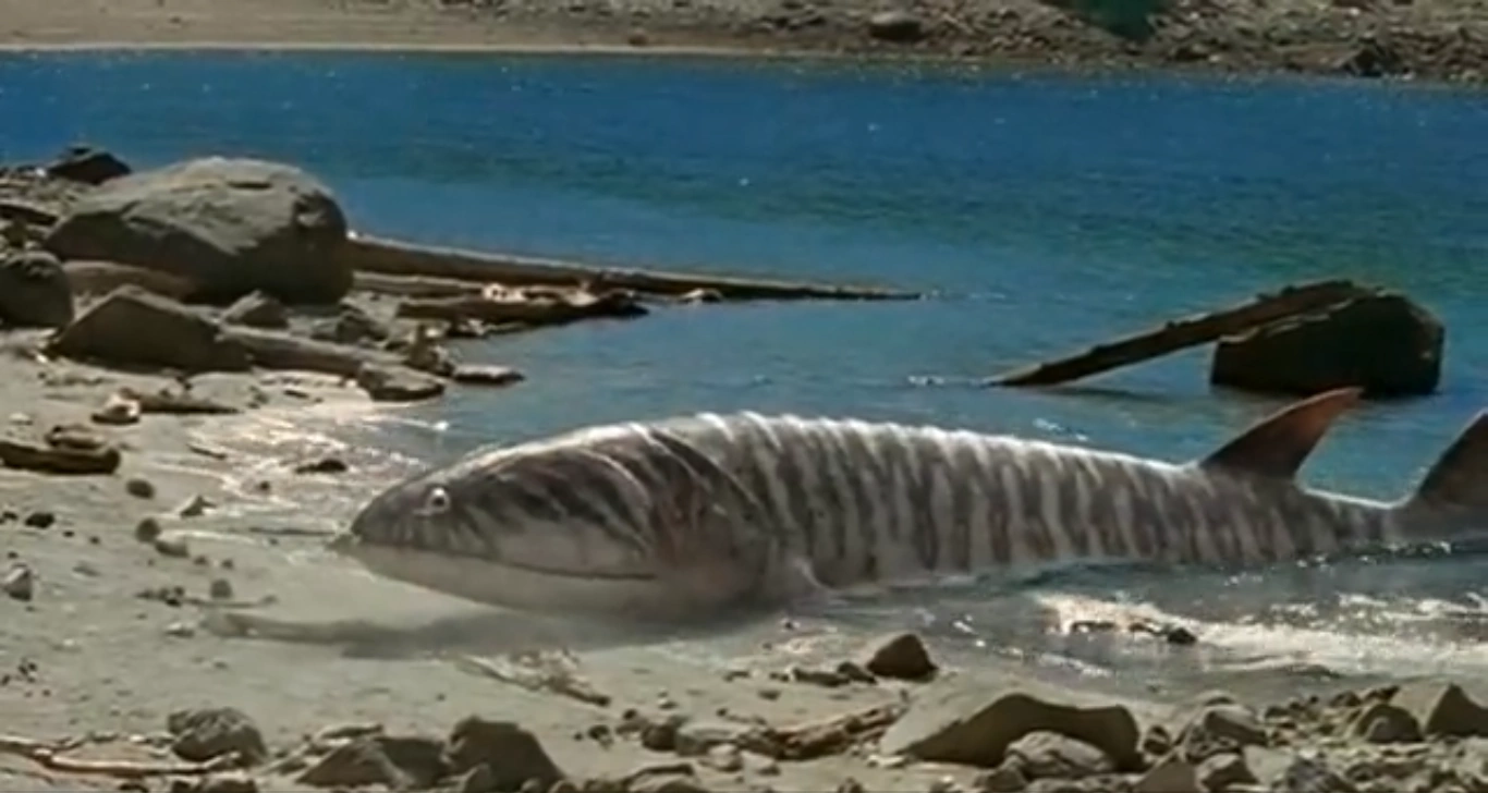 Hyneria | Dinosaur Alive Wiki | Fandom