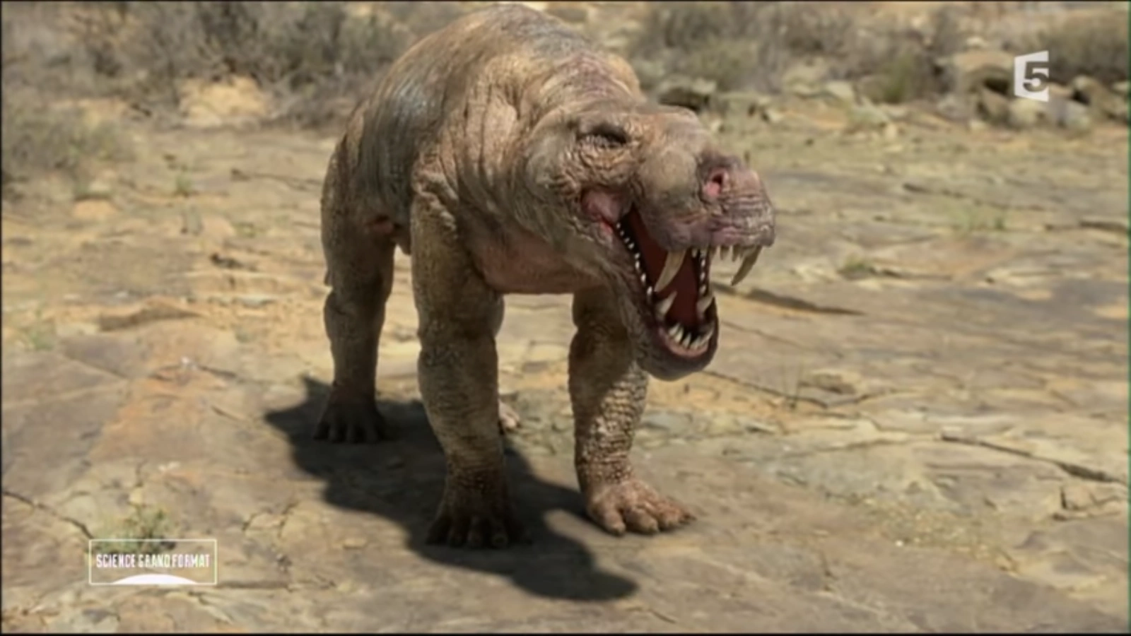 Gorgonops | Dinosaur Alive Wiki | FANDOM powered by Wikia