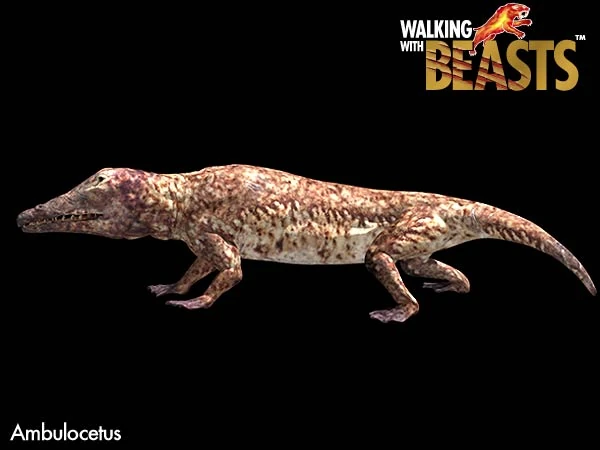 Ambulocetus | Dinosaur Alive Wiki | Fandom