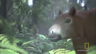 Propalaeotherium | Dinosaur Alive Wiki | Fandom