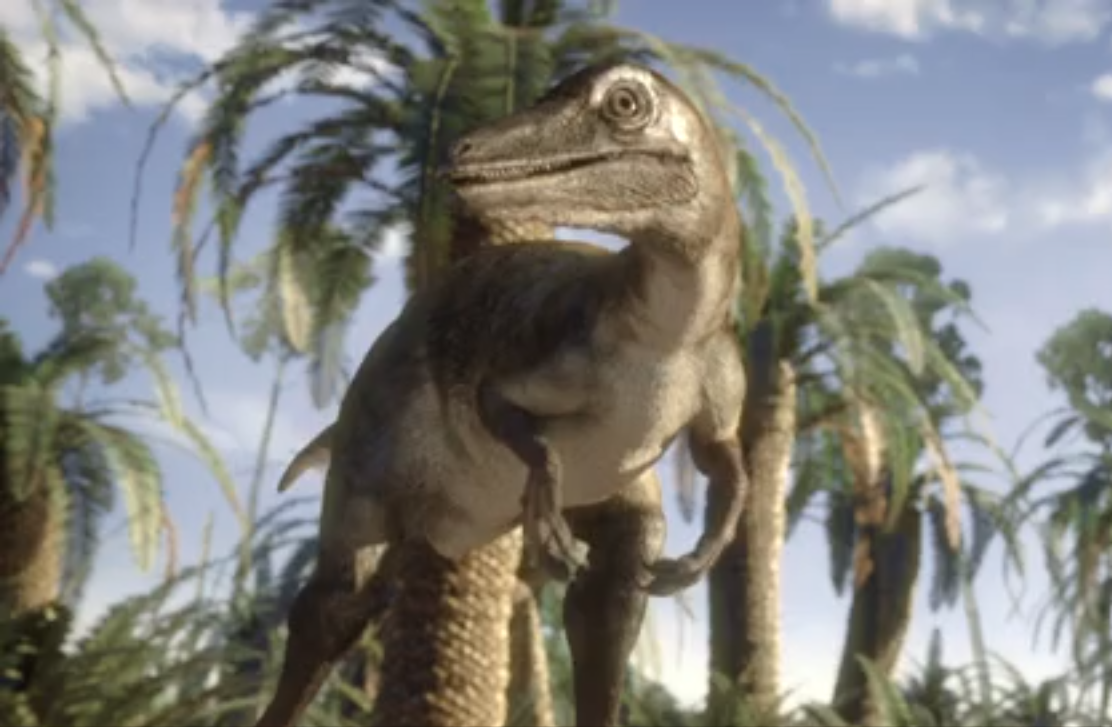 Saurornithoides Dinosaur Alive Wiki Fandom Powered By Wikia