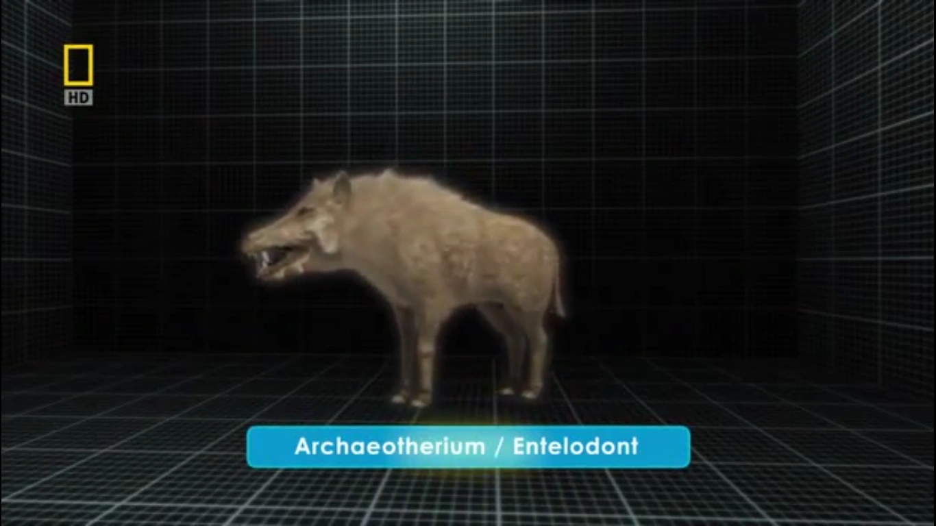 Entelodont Prehistoric Predators