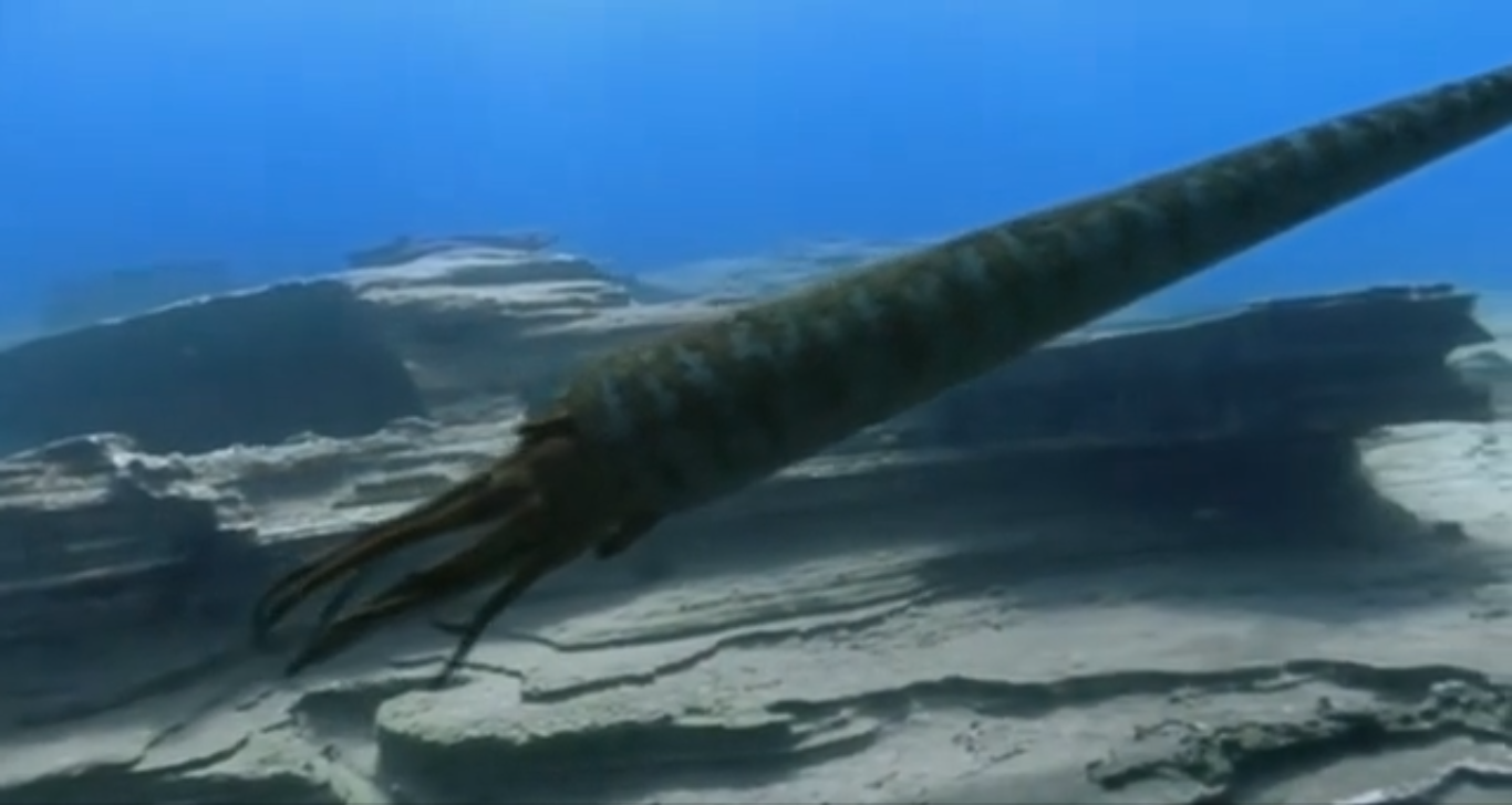Cameroceras Dinosaur Alive Wiki Fandom Powered By Wikia