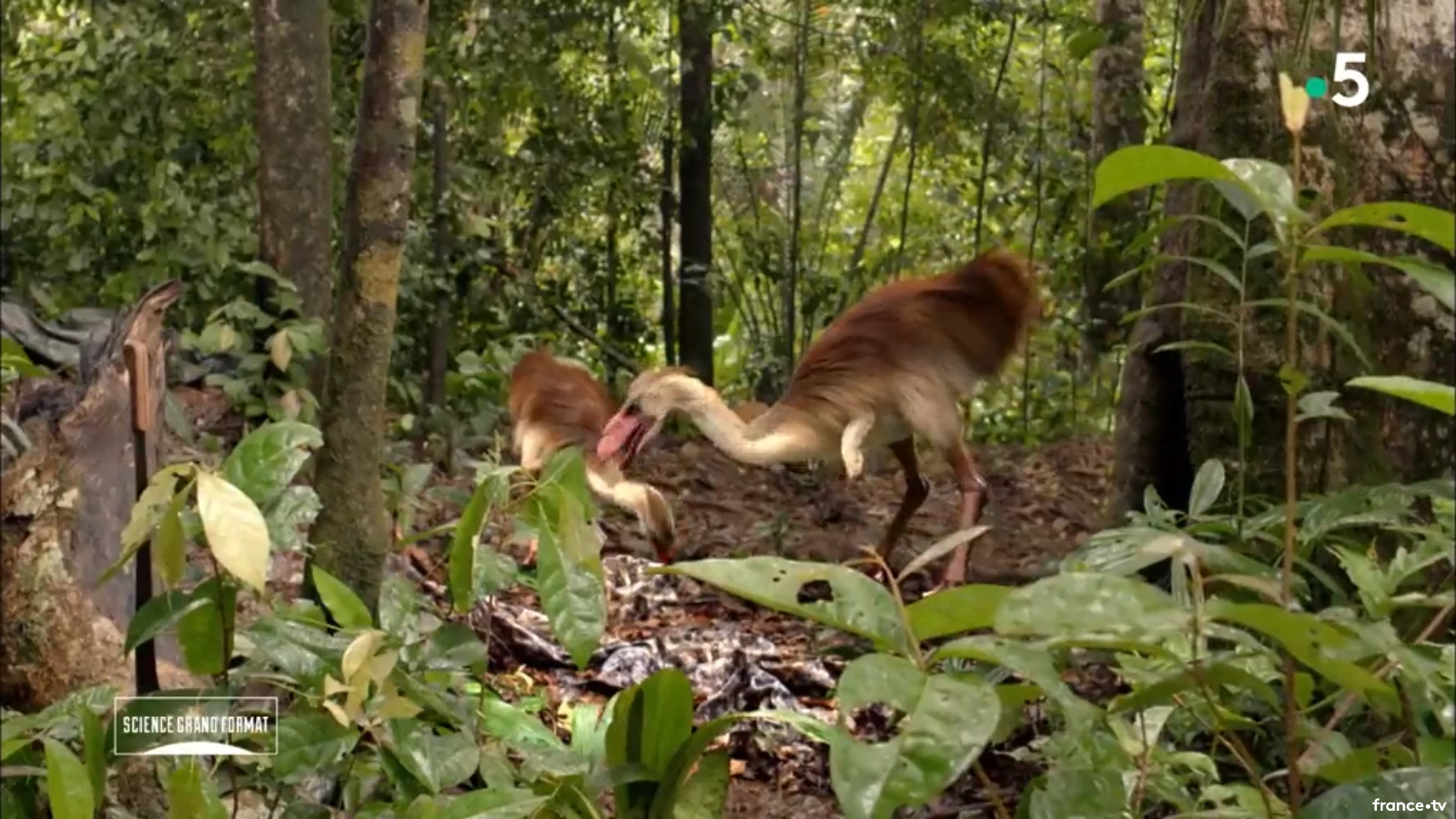 Paleopsilopterus | Dinosaur Alive Wiki | Fandom