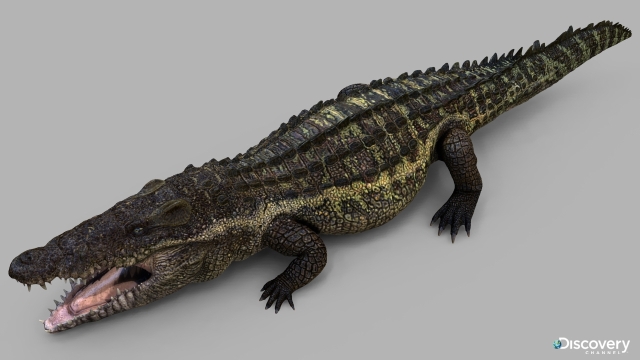 Goniopholis Dinosaur Alive Wiki Fandom Powered By Wikia