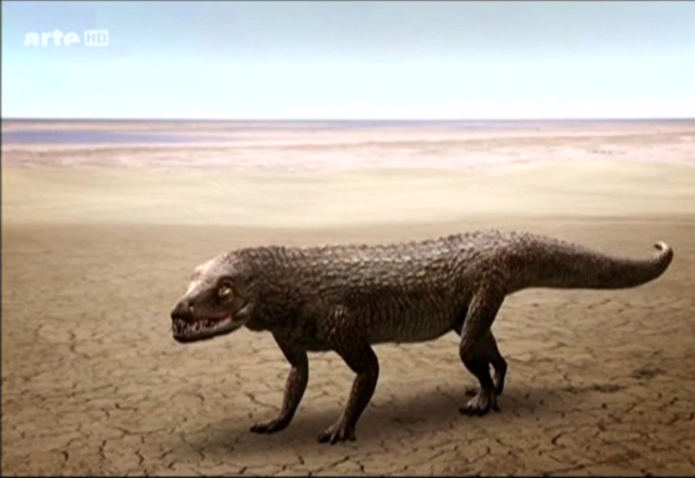 Ticinosuchus | Dinosaur Alive Wiki | Fandom