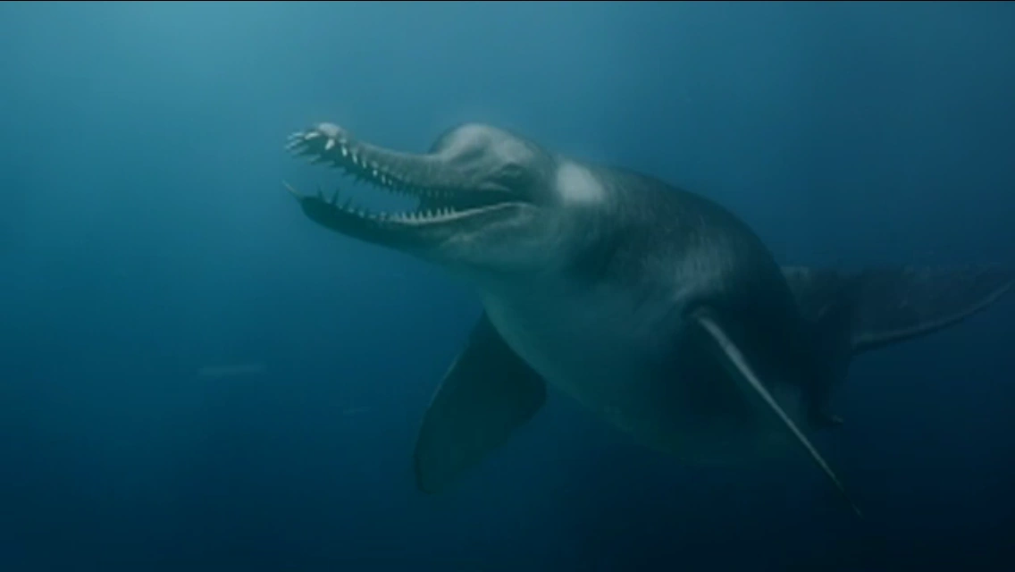 Squalodon | Dinosaur Alive Wiki | Fandom