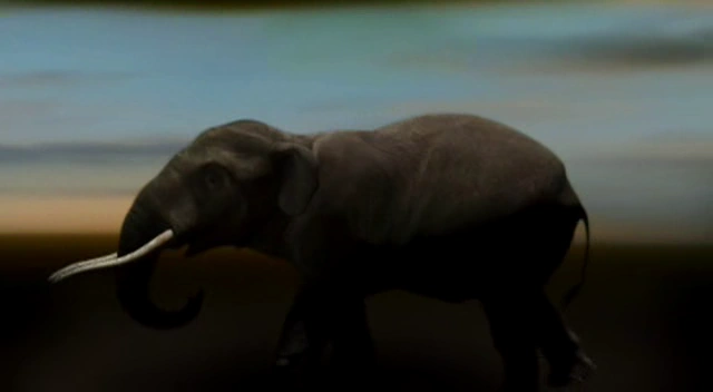 Cuvieronius | Dinosaur Alive Wiki | Fandom