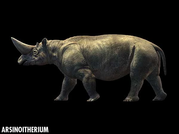 Arsinoitherium | Dinosaur Alive Wiki | FANDOM powered by Wikia