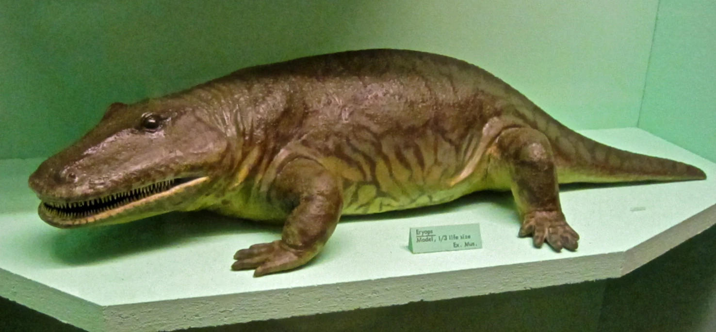 Eryops | Dinosaur Alive Wiki | FANDOM powered by Wikia