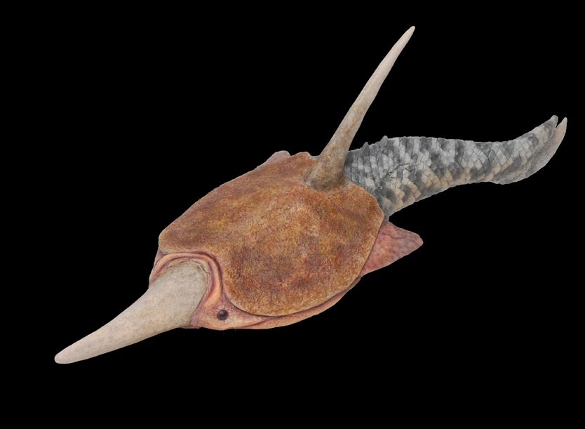 Pteraspis | Dinosaur Alive Wiki | Fandom