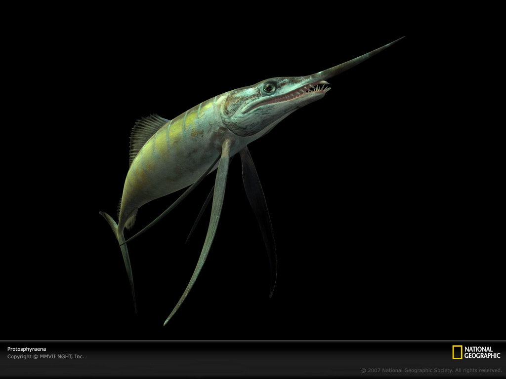 Protosphyraena Dinosaur Alive Wiki Fandom Powered By Wikia