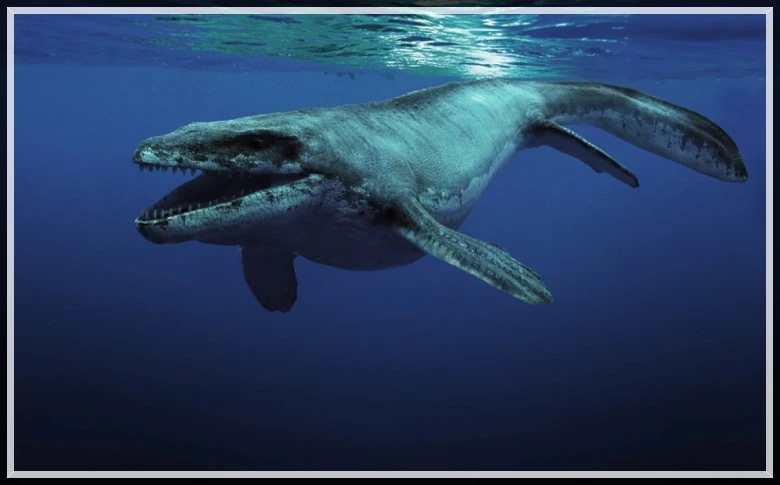 Prognathodon | Dinosaur Alive Wiki | FANDOM powered by Wikia