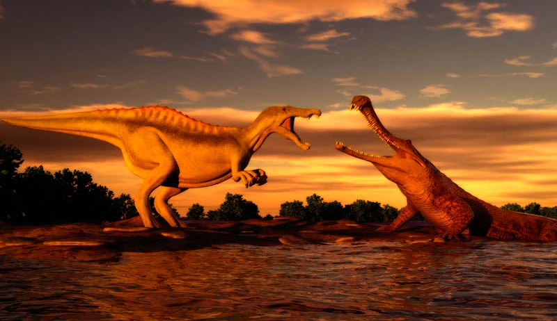 Image - Suchomimus vs supercroc.JPG | Dinosaur Alive Wiki | FANDOM ...