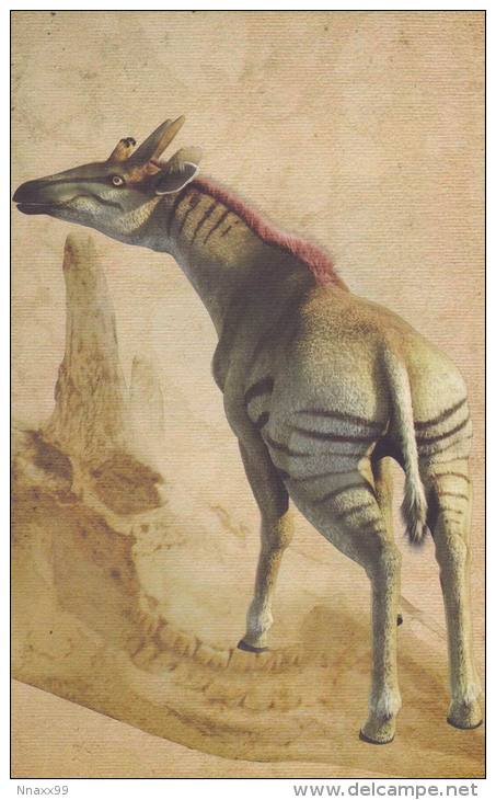 Samotherium | Dinosaur Alive Wiki | Fandom