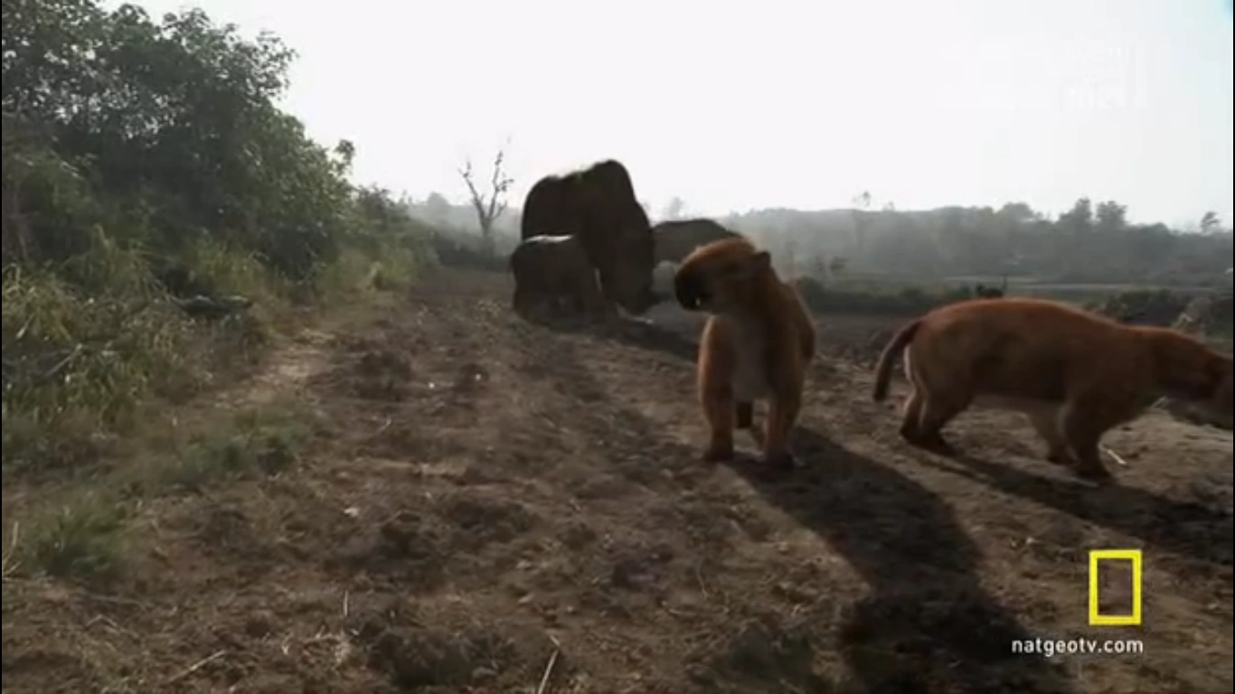 Coryphodon | Dinosaur Alive Wiki | Fandom