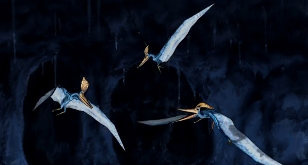 Pteranodon Dinosaur King Fandom Powered By Wikia