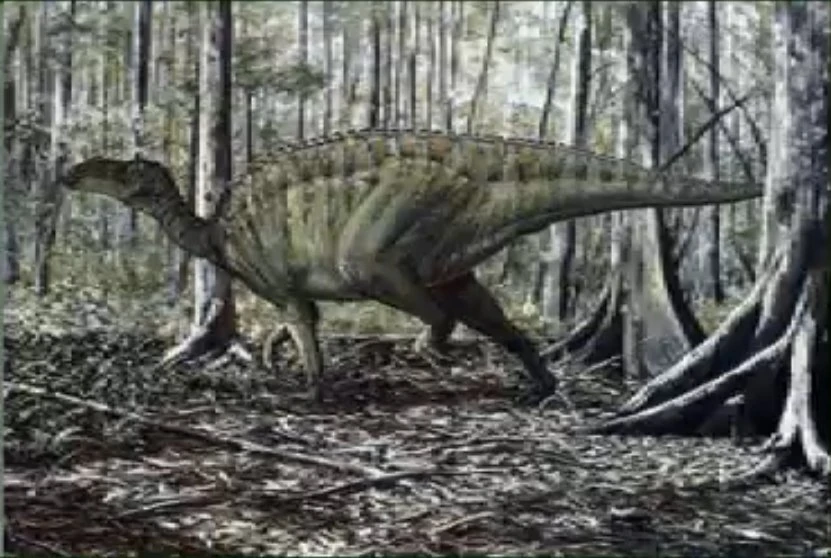 Image - Gryposaurusjpg.jpg | Dinosaur King Fanon Wiki | FANDOM powered ...