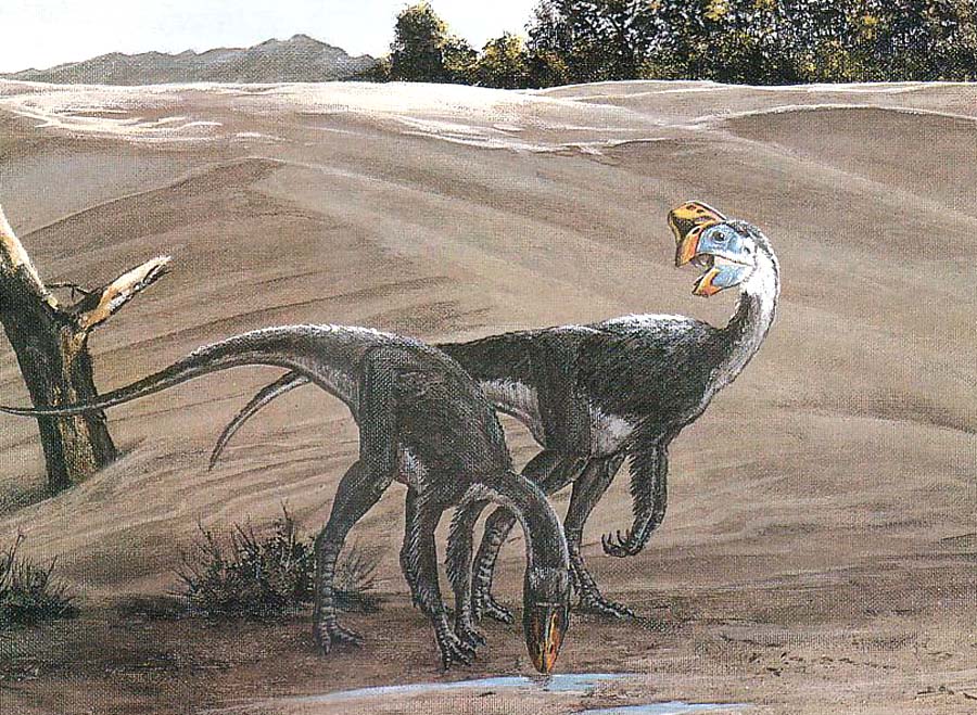Image - Pic oviraptor.jpg | Dinosaur King Fanon Wiki | FANDOM powered ...