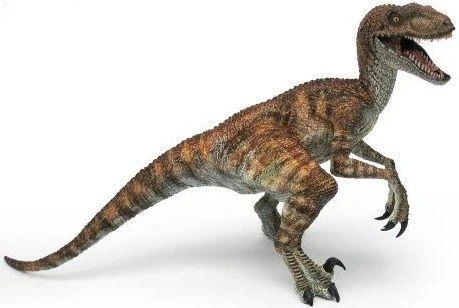 Velociraptor | Wikia Dinosaurpedia | FANDOM powered by Wikia