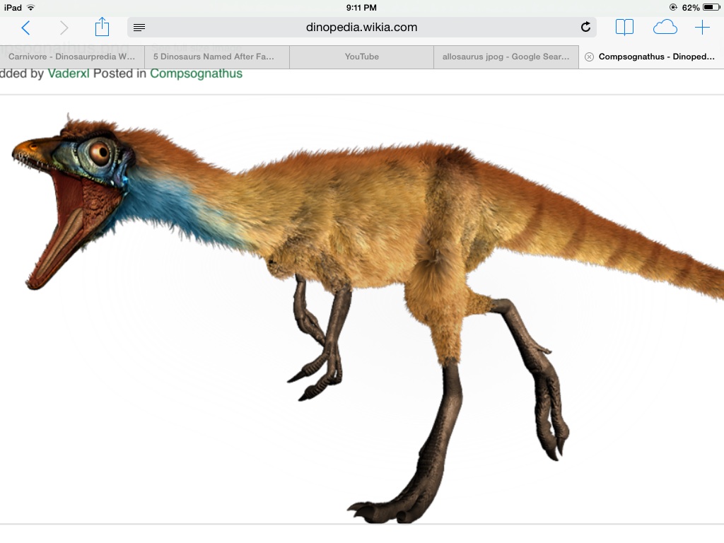 Compsognathus Dinosaurpredia Wiki Fandom Powered By Wikia