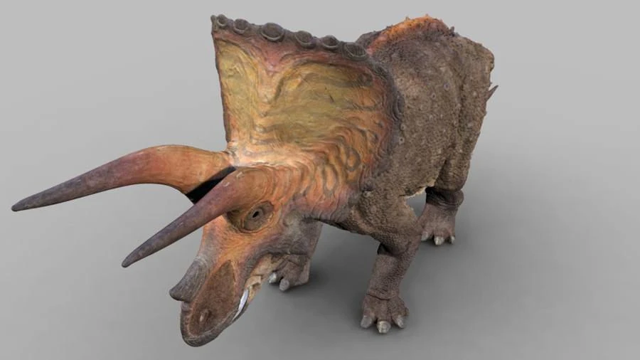 Rhamphorhynchus Dinosaur Revolution
