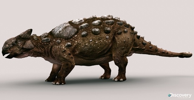 Ankylosaurus Dinosaur Revolution Wiki Fandom Powered By Wikia