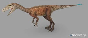 Eoraptor | Dinosaur Revolution Wiki | Fandom