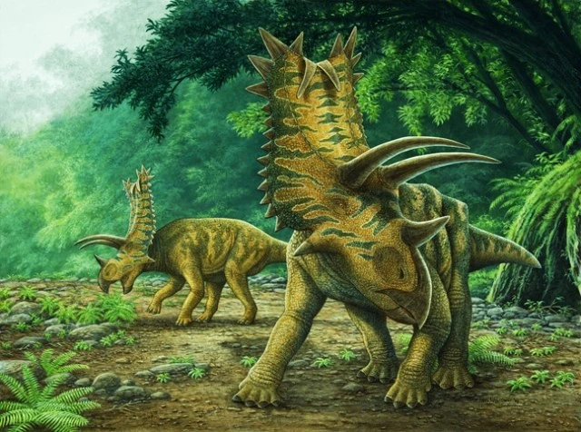 Titanoceratops | Dinosaurs Battle World Championship Wiki | FANDOM ...