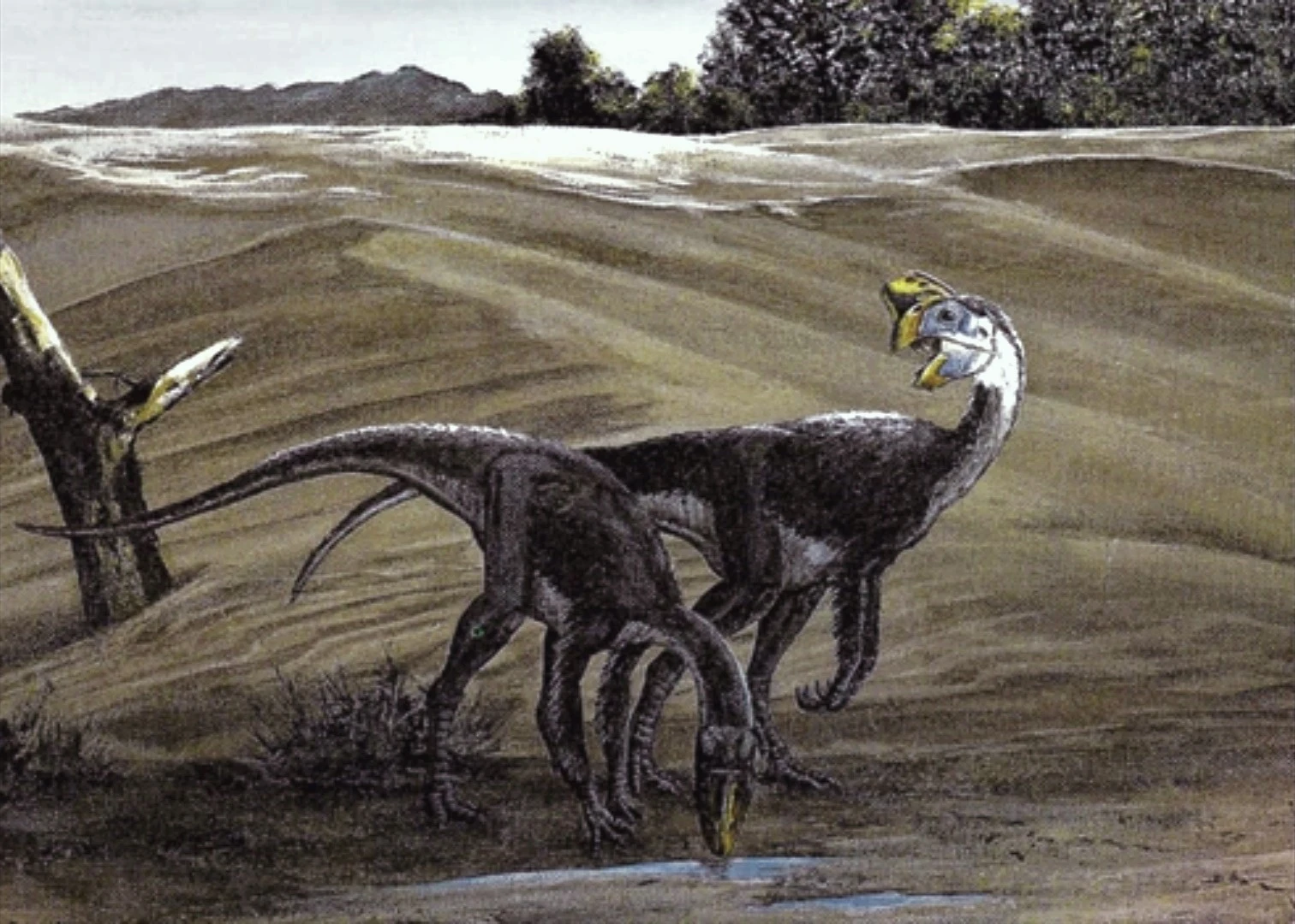 Oviraptor | Dinosaurs Battle World Championship Wiki | FANDOM powered ...