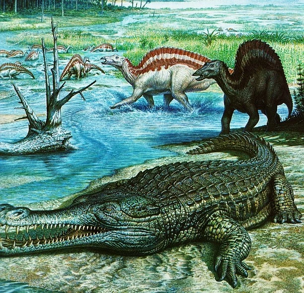 Sarcosuchus | Dinosaurs Battle World Championship Wiki | FANDOM powered ...