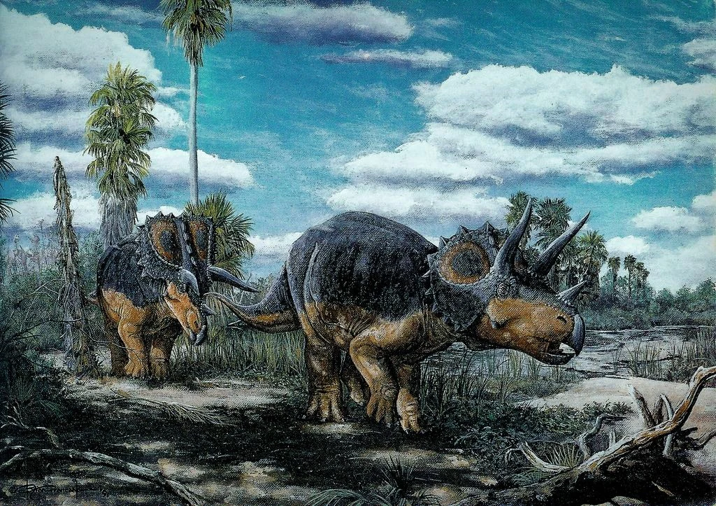 Triceratops | Dinosaurs Battle World Championship Wiki | FANDOM powered ...