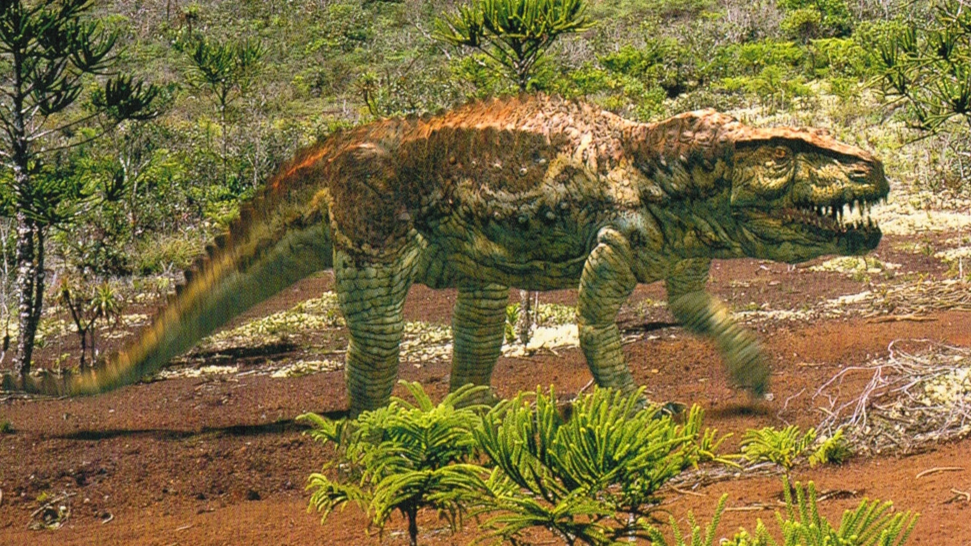 Rauisuchia | Dinopedia | FANDOM powered by Wikia