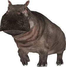 Hippopotamus major | Dinopedia | Fandom