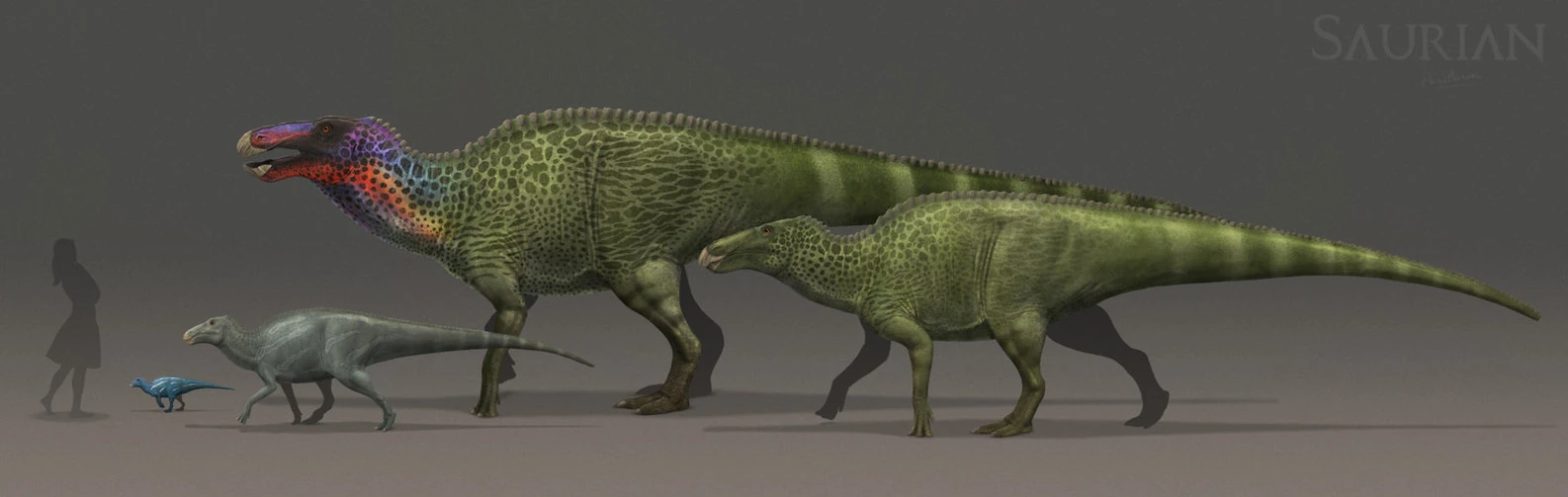 Anatosaurus | Dinopedia | Fandom