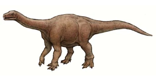 Melanorosaurus | Dinopedia | FANDOM powered by Wikia