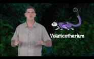 Volaticotherium | Dinopedia | FANDOM powered by Wikia