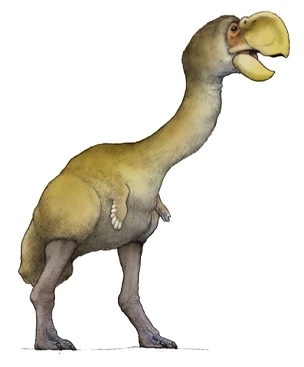 Dromornis | Dinopedia | FANDOM powered by Wikia