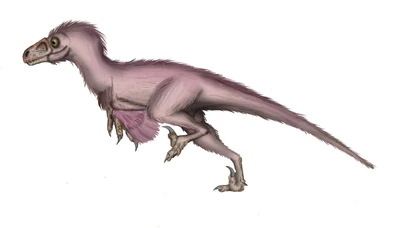 Atrociraptor | Dinopedia | Fandom