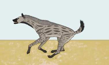 Ictitherium | Dinopedia | Fandom