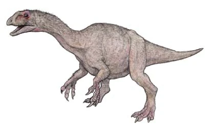 Falcarius | Dinopedia | FANDOM powered by Wikia