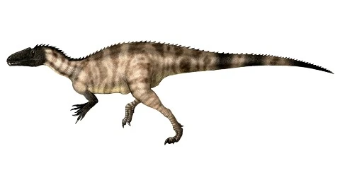 Shidaisaurus | Dinopedia | Fandom
