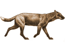 Lycaon sekowei | Dinopedia | Fandom