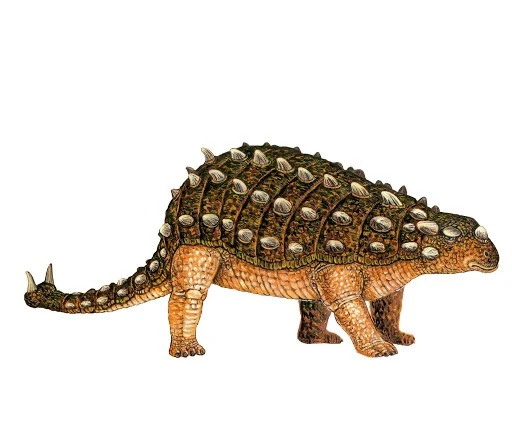 Scolosaurus | Dinopedia | FANDOM powered by Wikia