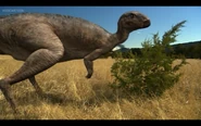 Orodromeus | Dinopedia | Fandom